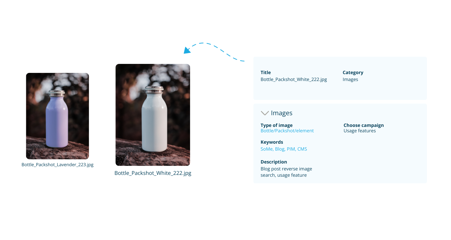The Power of Strategic Naming Conventions for Global Organizations