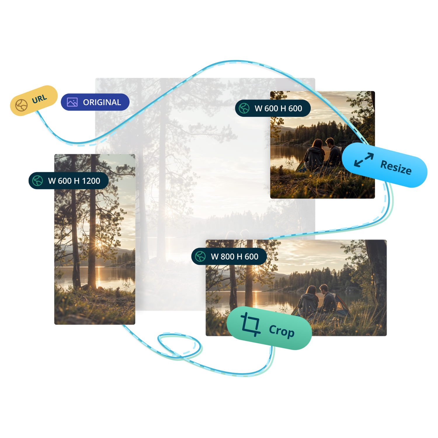 QBank Media Optimizer