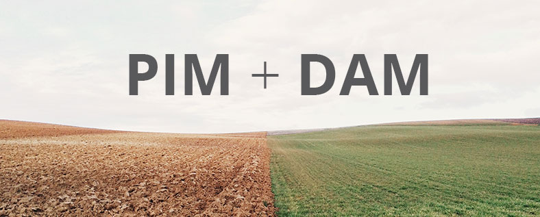 DAM + PIM = XM