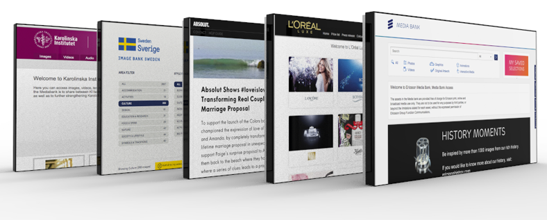 The front end - a customized asset portal